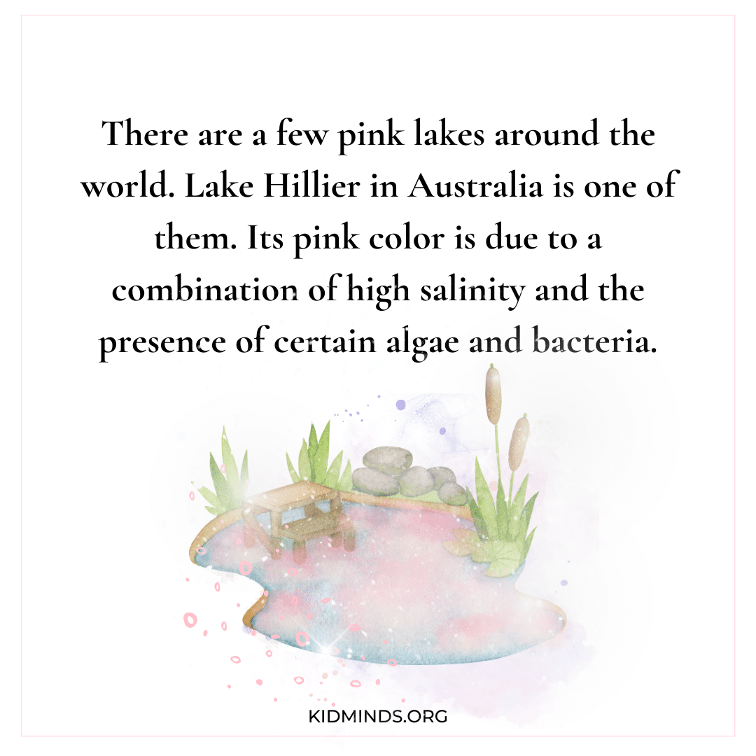 15 Geography Facts That Will Blow Your Kid’s Mind | KidMinds