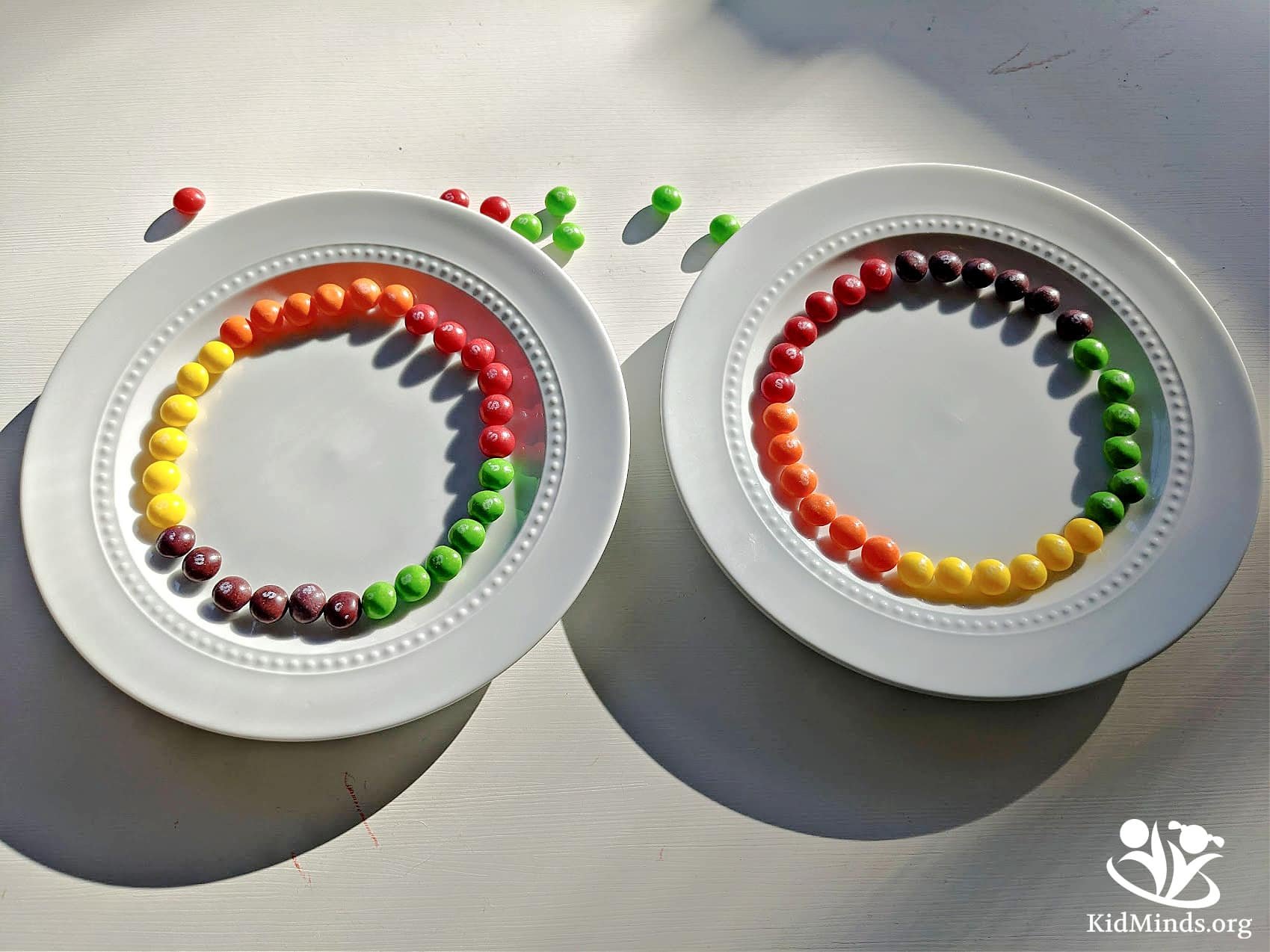 How to Make Skittles Science Experiment (Free PDF) | KidMinds