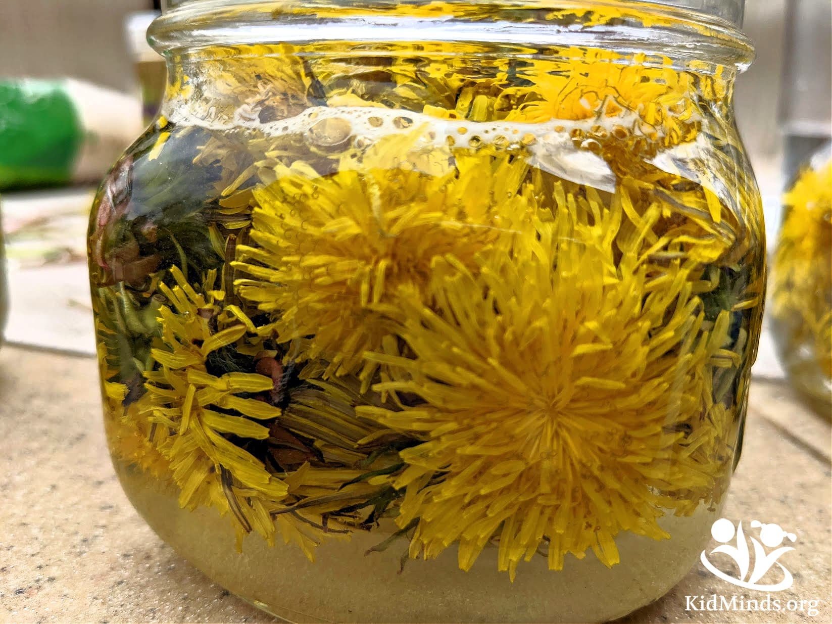 The Best Flower Science Experiment (Free PDF) | KidMinds