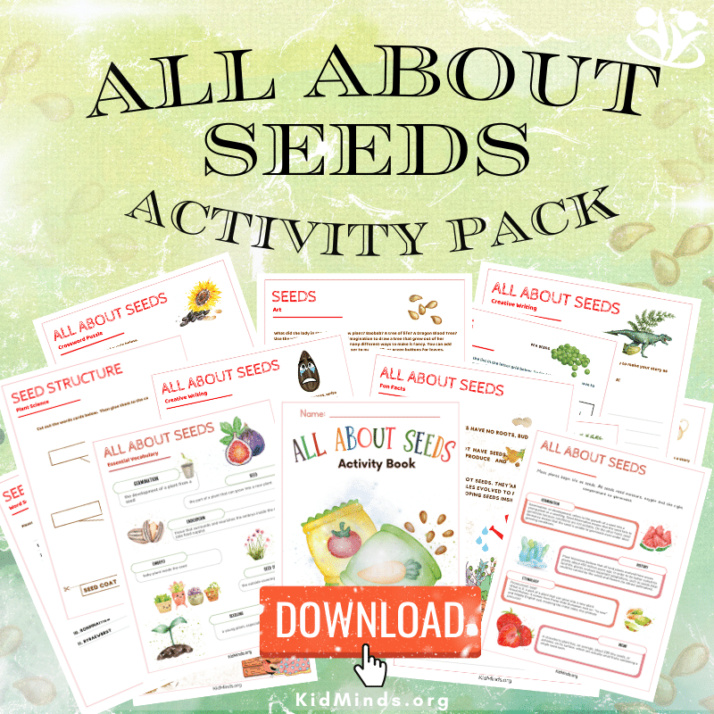 The Best All About Seeds Activity Pack (Free PDF) | KidMinds