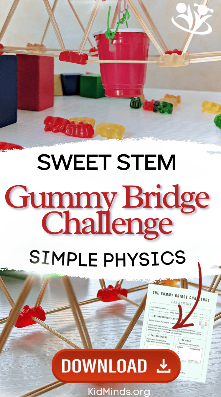 The Best Gummy Bridge Engineering Challenge | KidMinds