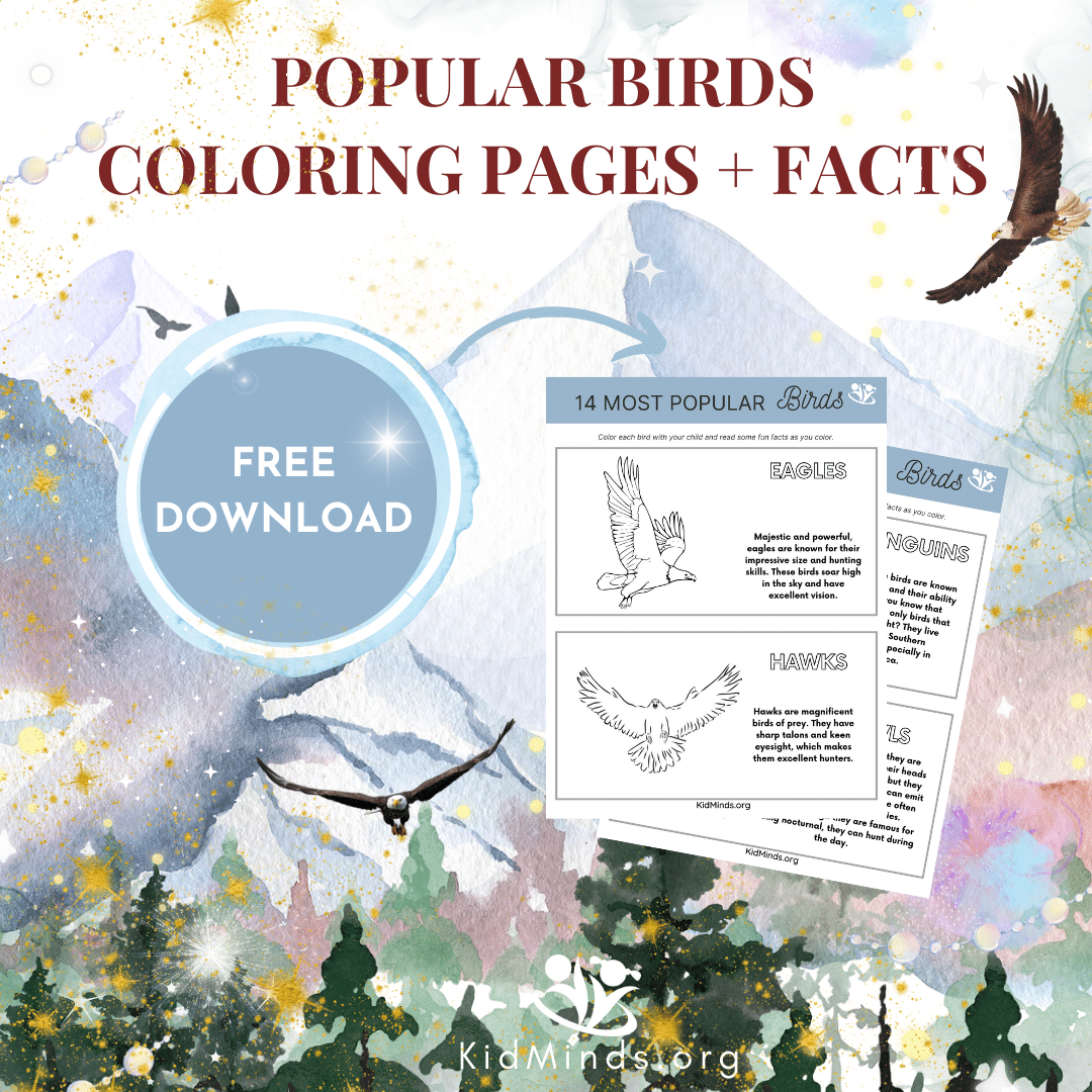 The Best Bird Facts and Coloring Pages (Free PDF) | KidMinds