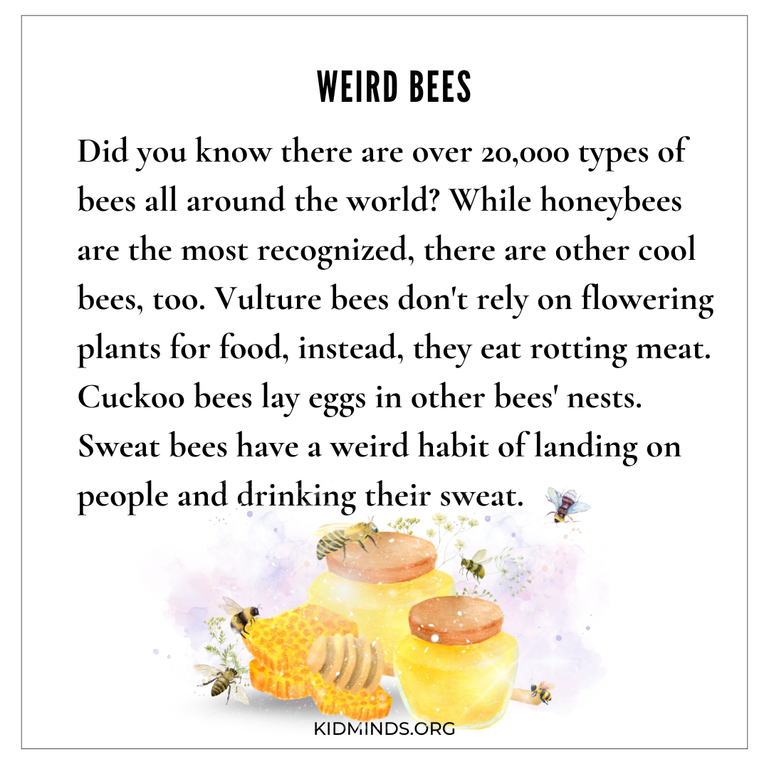 The Best Bee Facts for Kids (Free PDF) | KidMinds