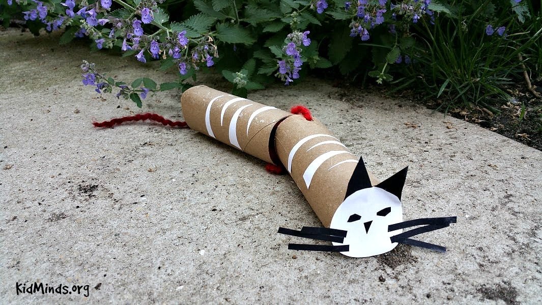 The Physics of Twisting for Kids | KidMinds