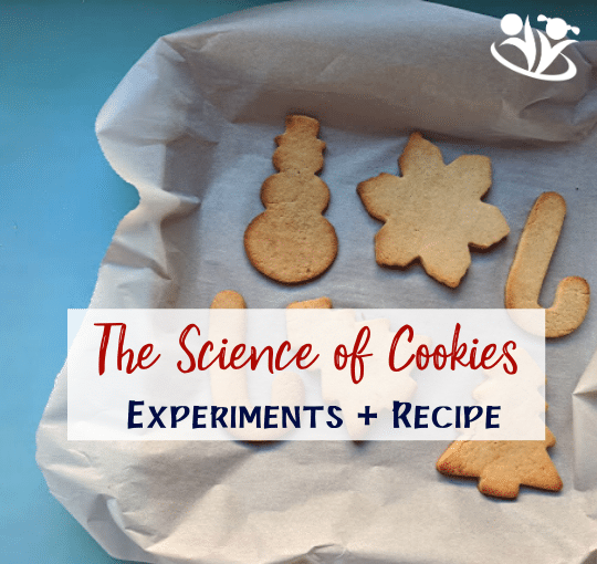 Awesome Science of Christmas Cookies (Magic Cookie Experiments) | KidMinds