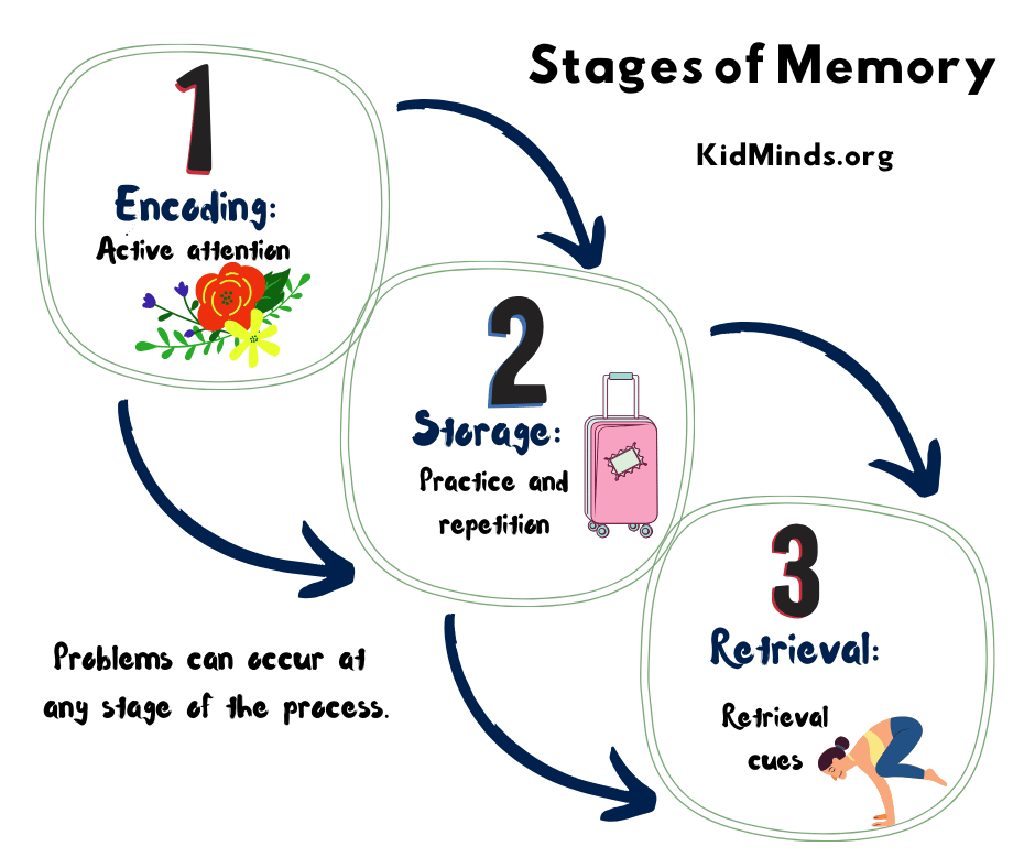 What Your Kids Need to Know About Memory and How You Can Teach It Using ...