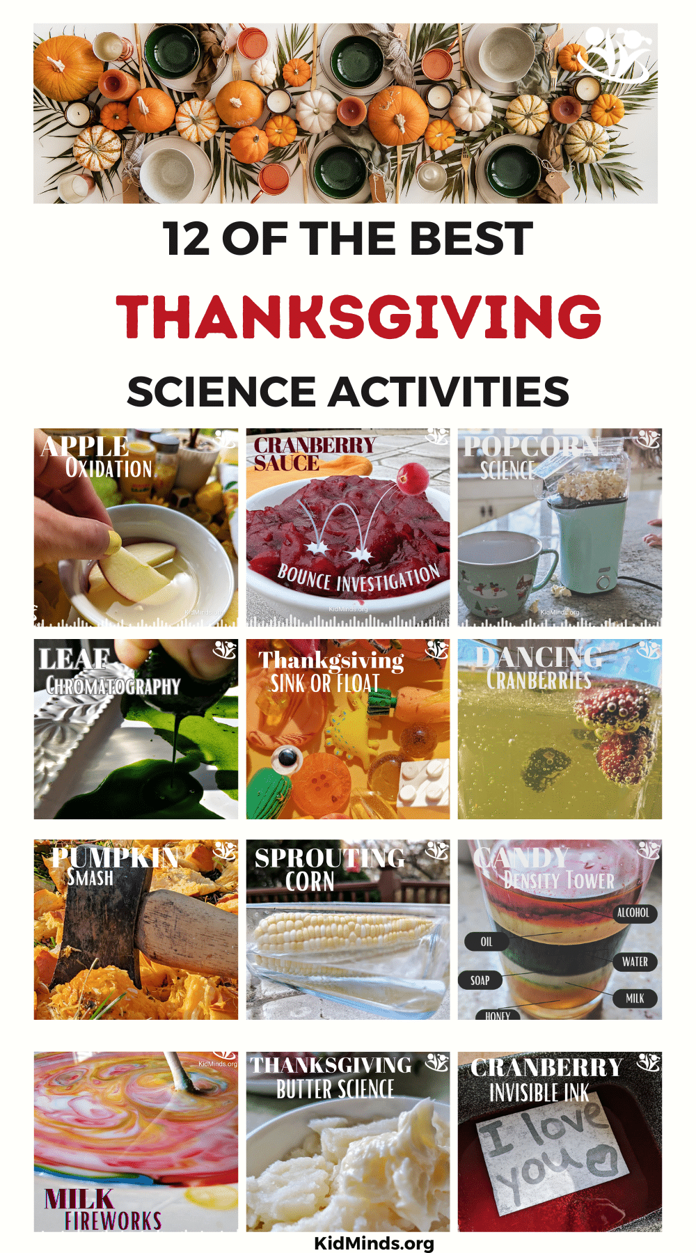 The Best and Most Exciting Thanksgiving Science | KidMinds