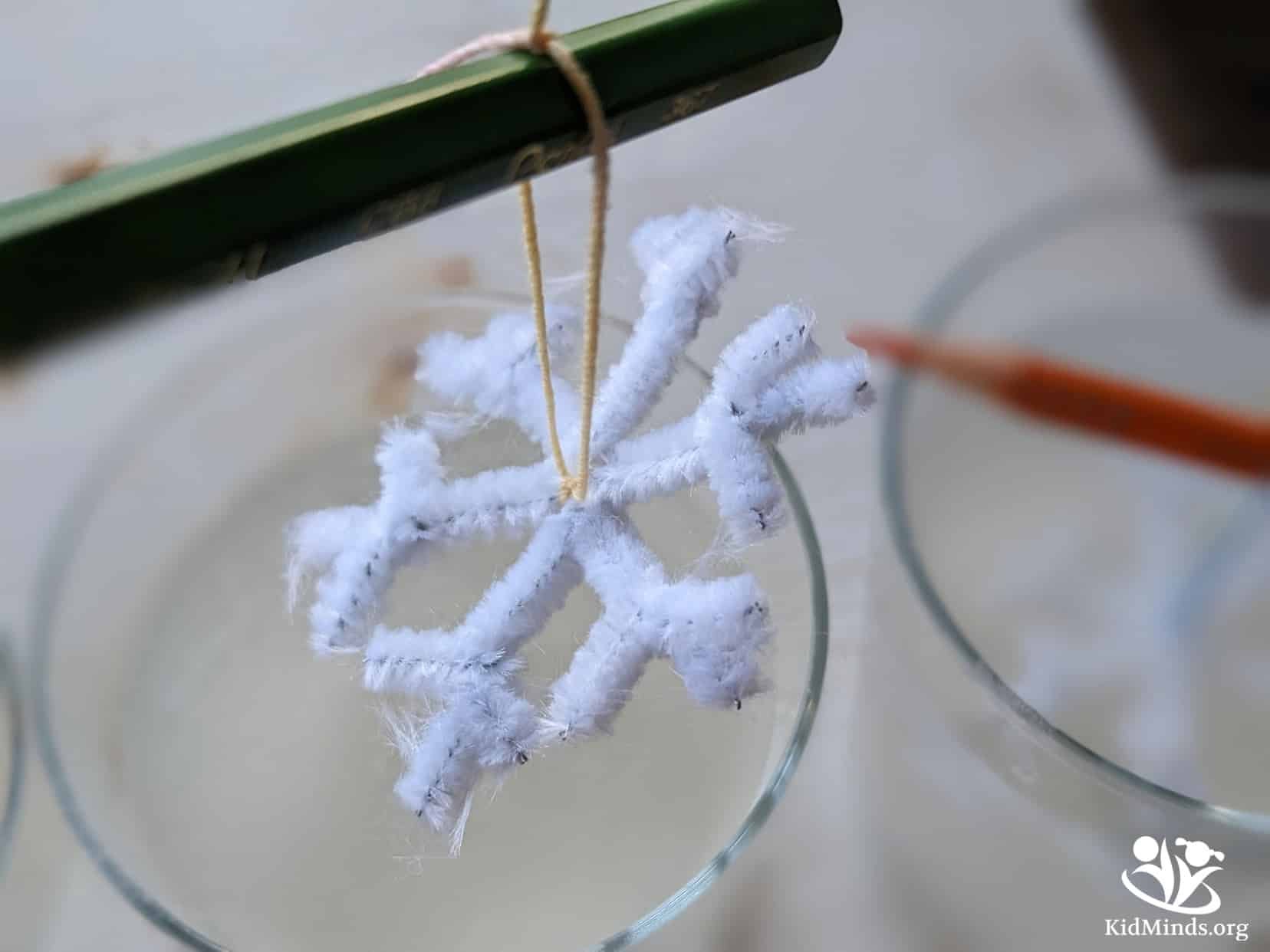 How to Make Crystal Snowflakes from Borax | KidMinds