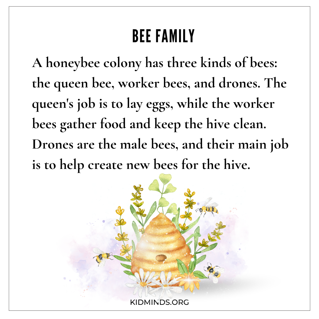 The Best Bee Facts for Kids (Free PDF) | KidMinds