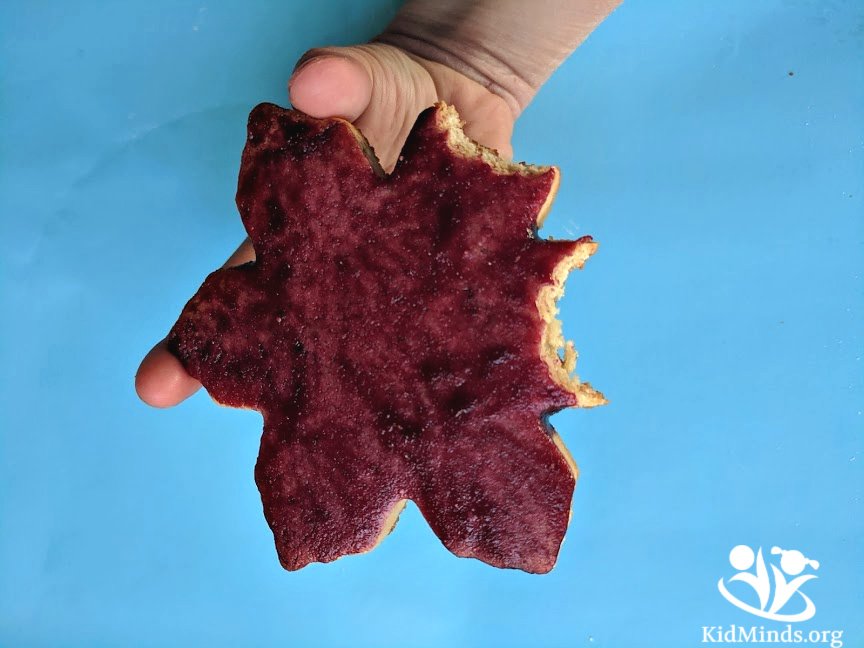 Awesome Science of Christmas Cookies (Magic Cookie Experiments) | KidMinds