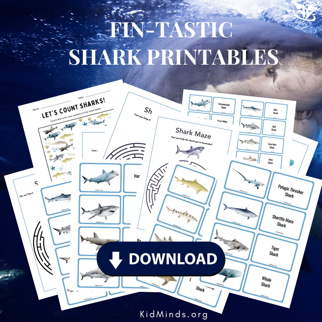 7 Exciting Ways to Celebrate Shark Week With Kids | KidMinds