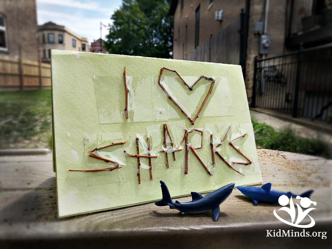 7 Exciting Ways to Celebrate Shark Week With Kids | KidMinds