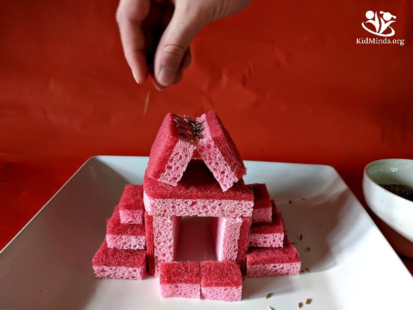 How to Grow the Best Grass House (Free PDF) | KidMinds