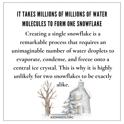 The Best Snowflake Facts for Kids (Free PDF) | KidMinds