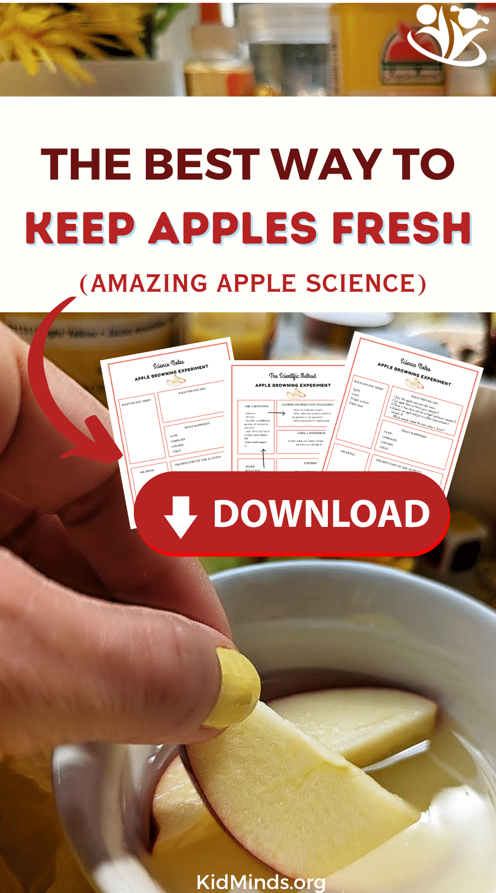 The Best and Most Amazing Apple Science | KidMinds