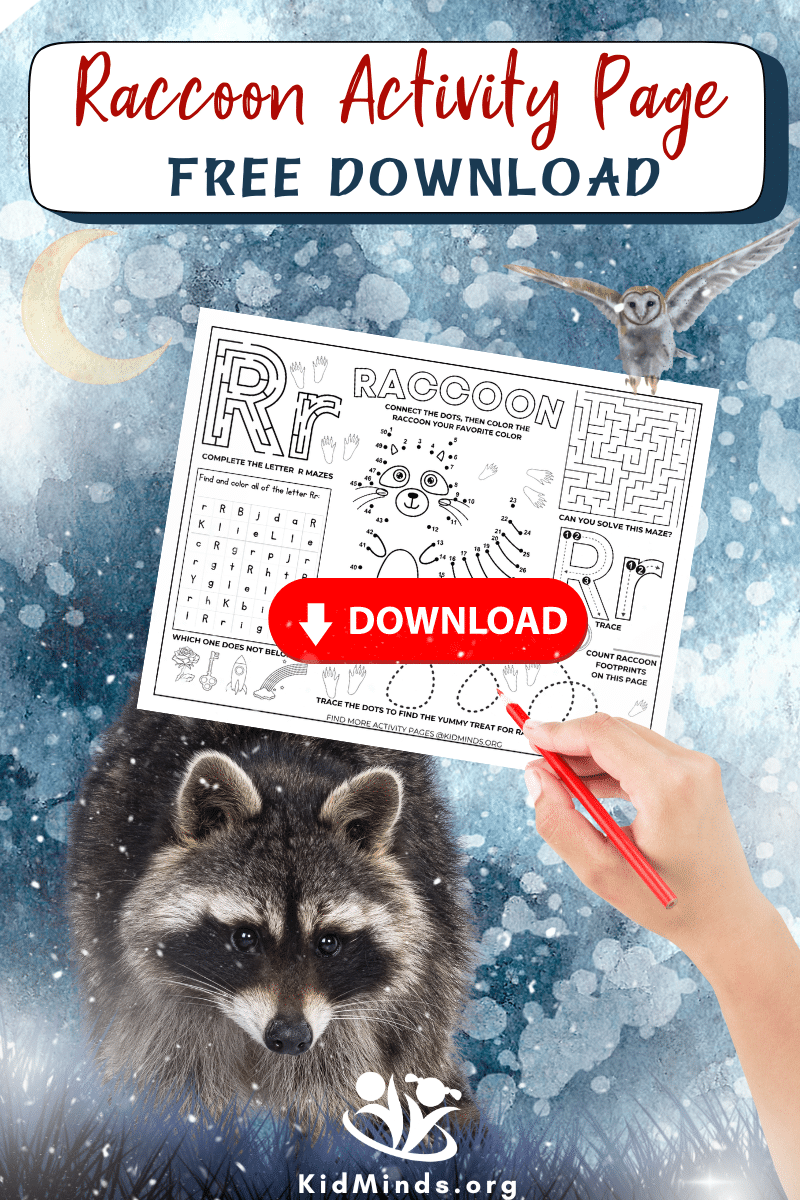 The Best Raccoon Activity Page (Free Printable) | KidMinds