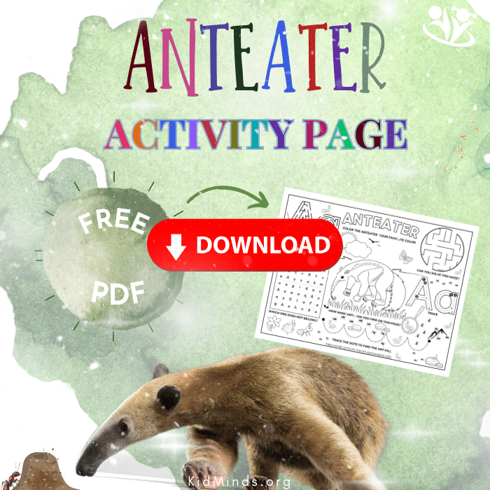 The Best Anteater Activity Page for Kids (Free) | KidMinds