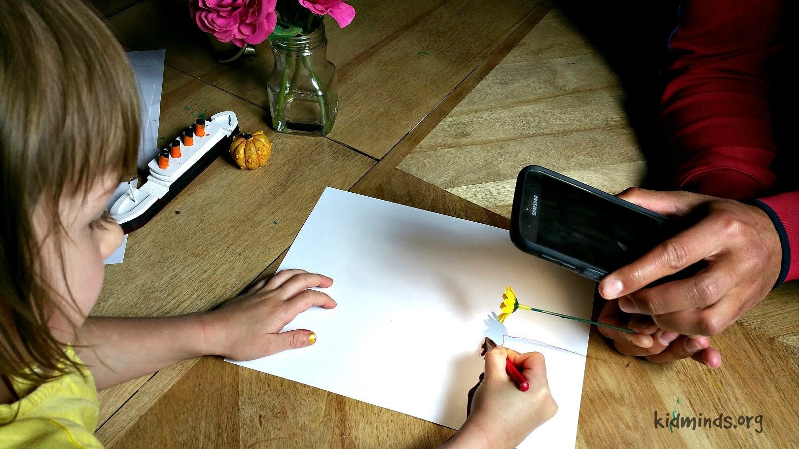 The Science of Shadows (Unit Study) | KidMinds
