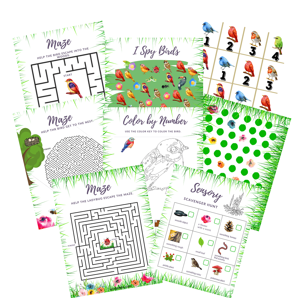 Nature Detectives Learning Pack | KidMinds