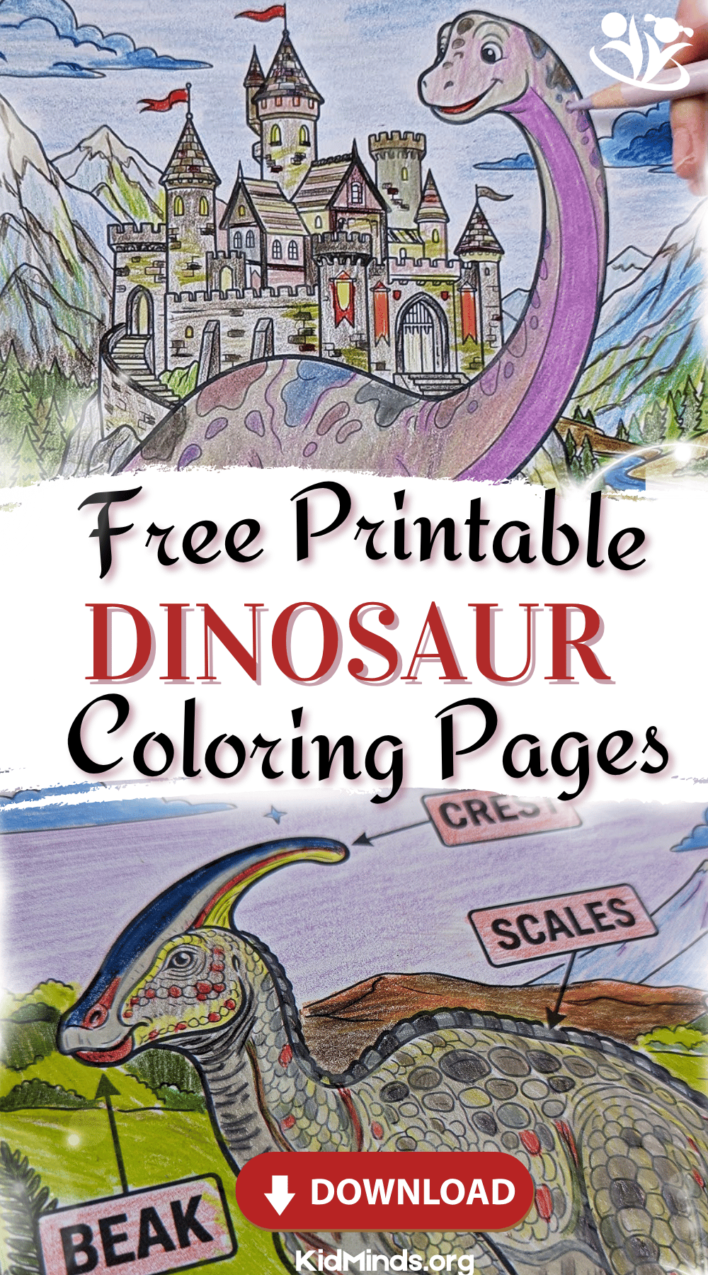 The Best Dinosaur Coloring Pages (Free PDF) | KidMinds