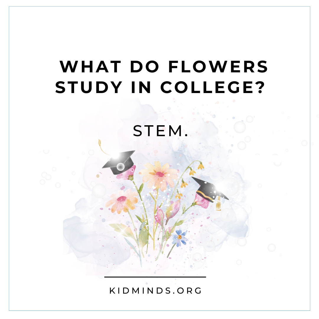 The Best Spring Jokes for Kids (FREE download) | KidMinds