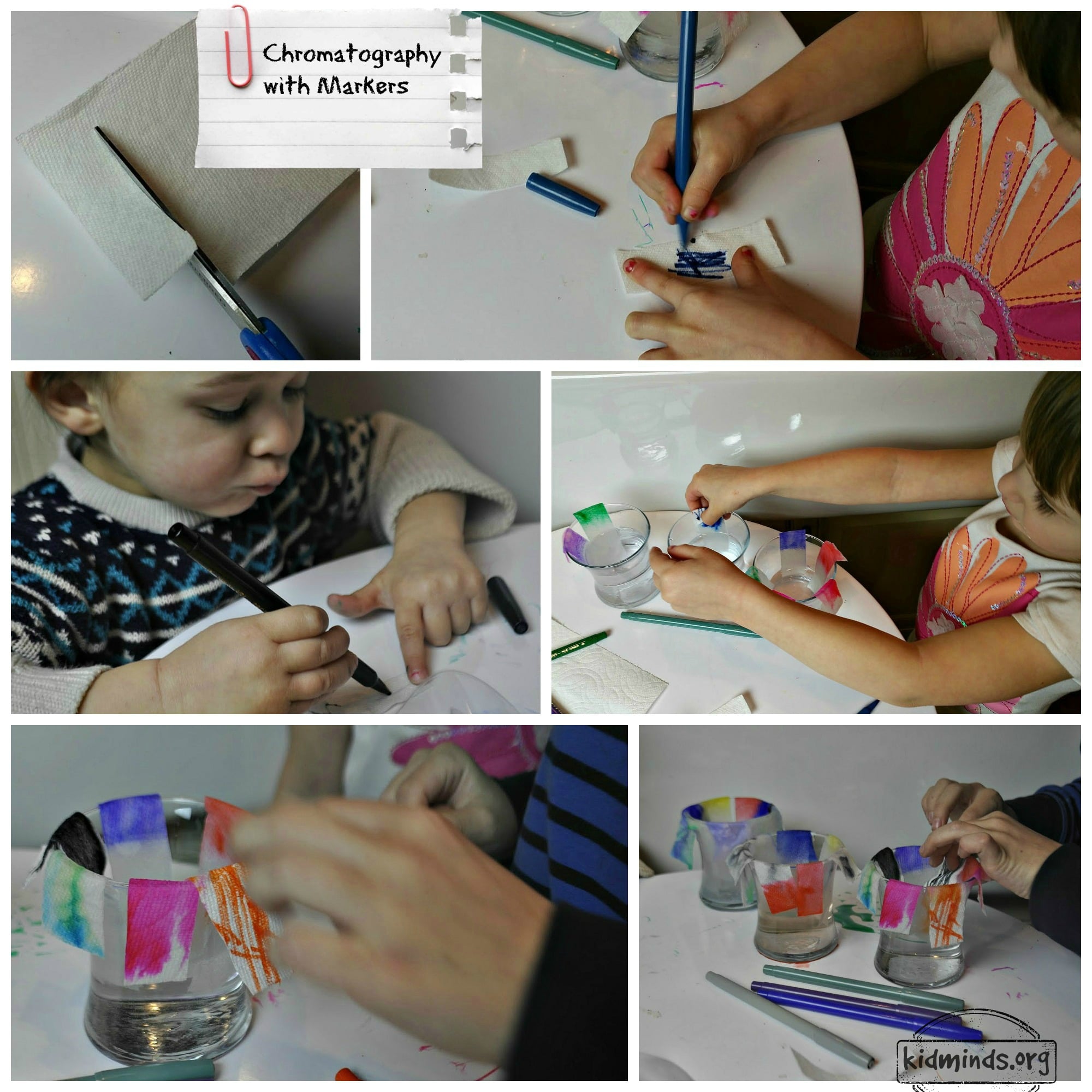The Best Chromatography Experiments for Kids | KidMinds