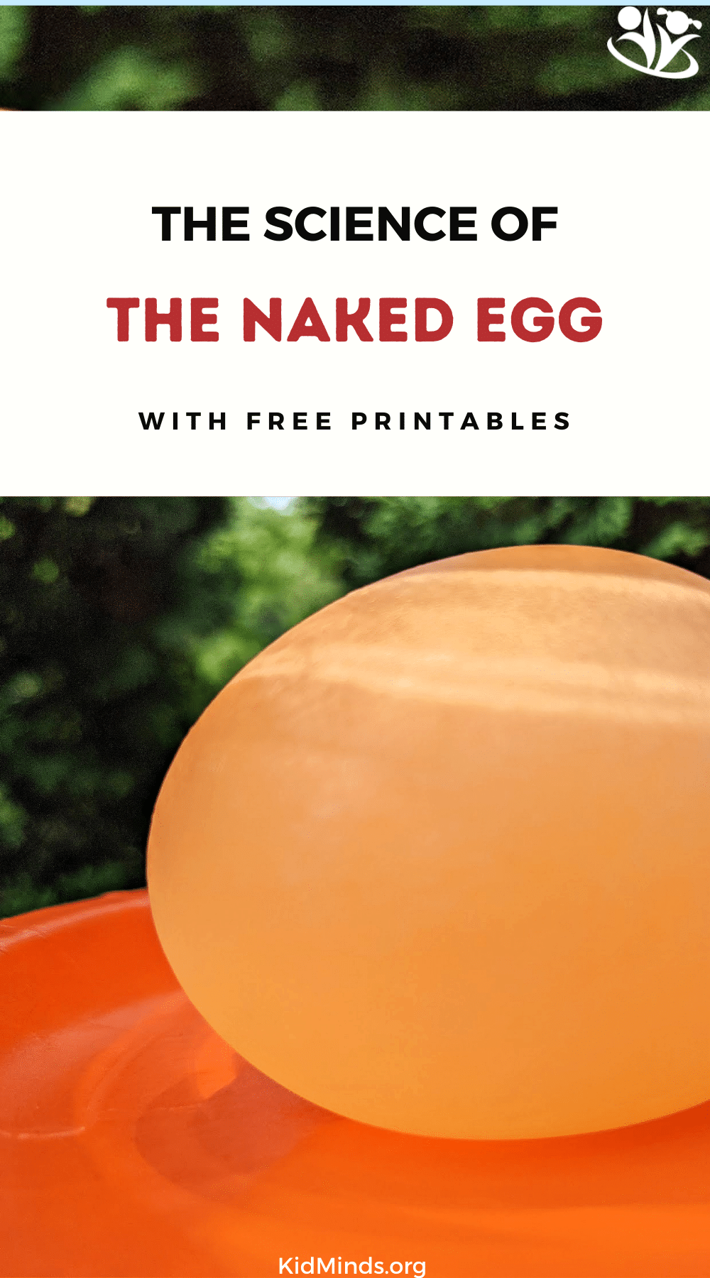 The Best Egg Science (With Lots of Free Printables) | KidMinds