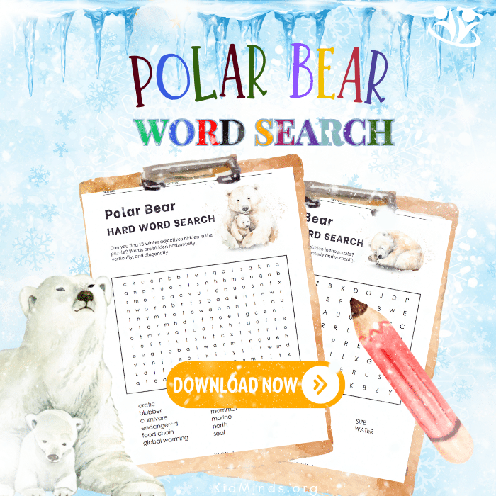 The Best Polar Bear Word Searches (Free PDF) | KidMinds