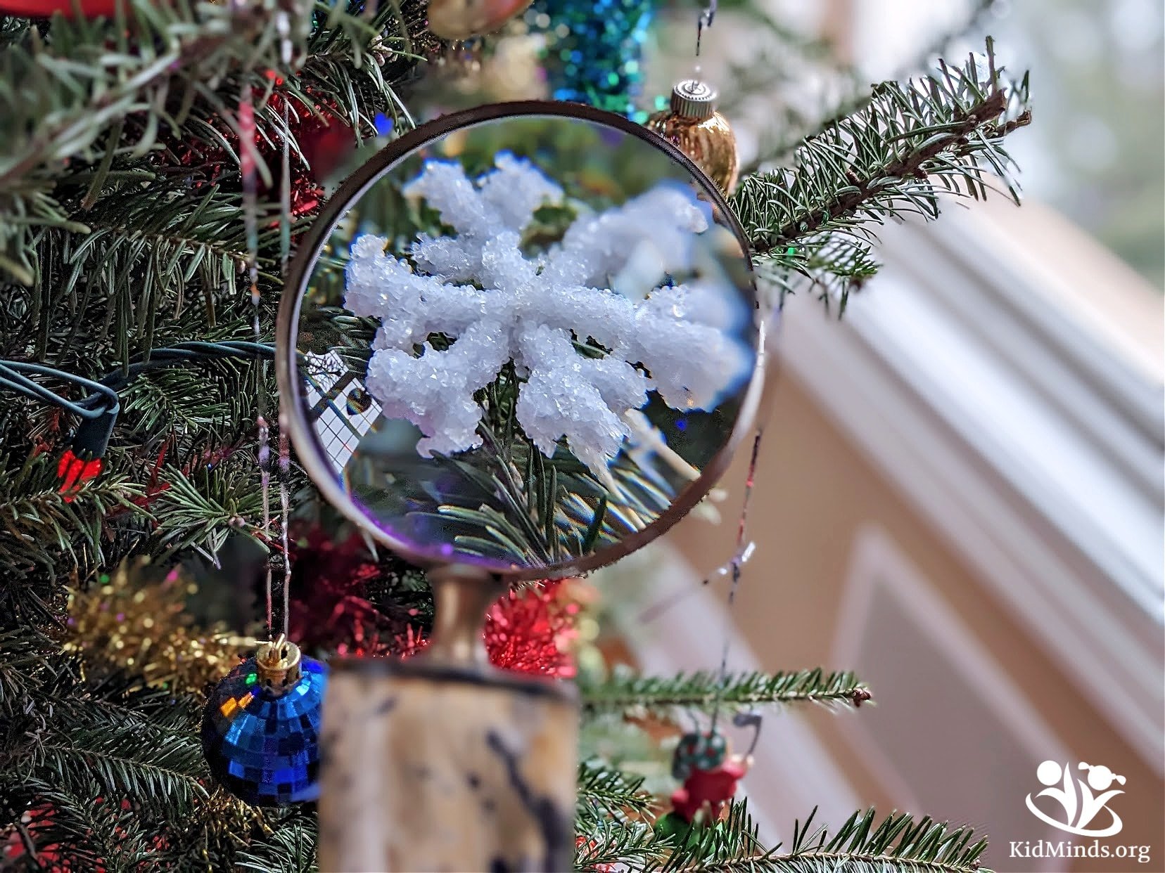 How to Make Crystal Snowflakes from Borax | KidMinds