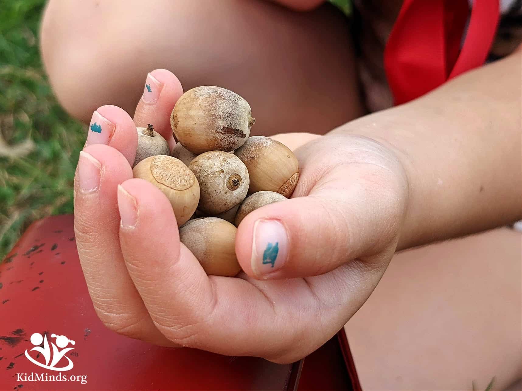 The Best of Fall Math (Acorn Estimation Free Printable) | KidMinds