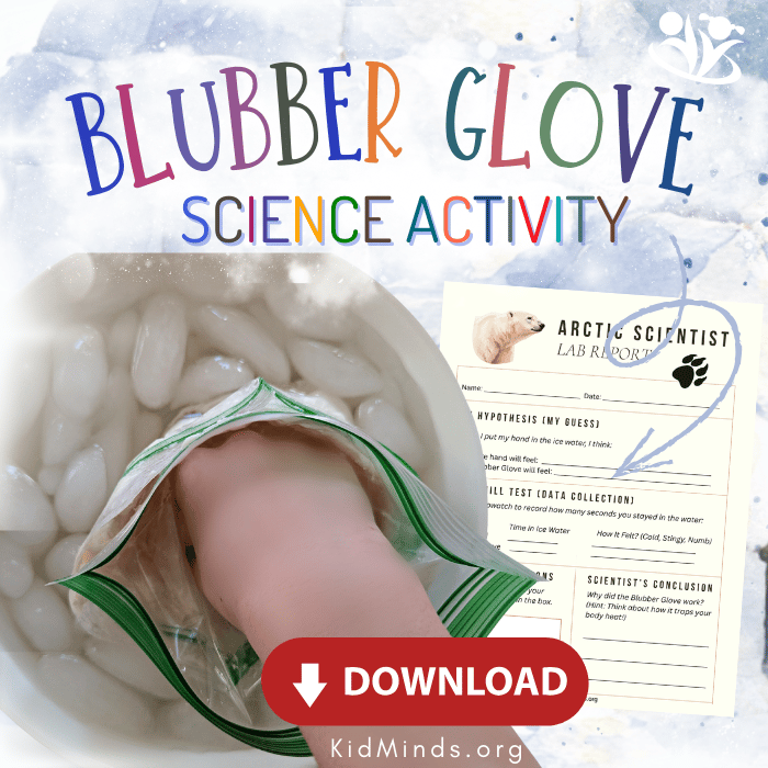 How to Make a Blubber Glove: Science + Free PDF | KidMinds