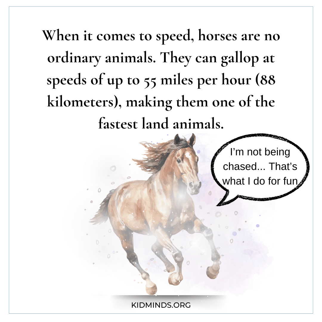 The Best & Most Fascinating Horse Facts (Free) | KidMinds