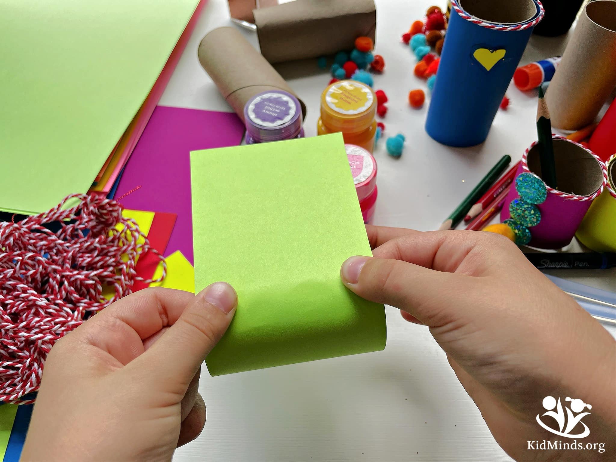 How to Make Colorful TP Roll Desk Organizer | KidMinds