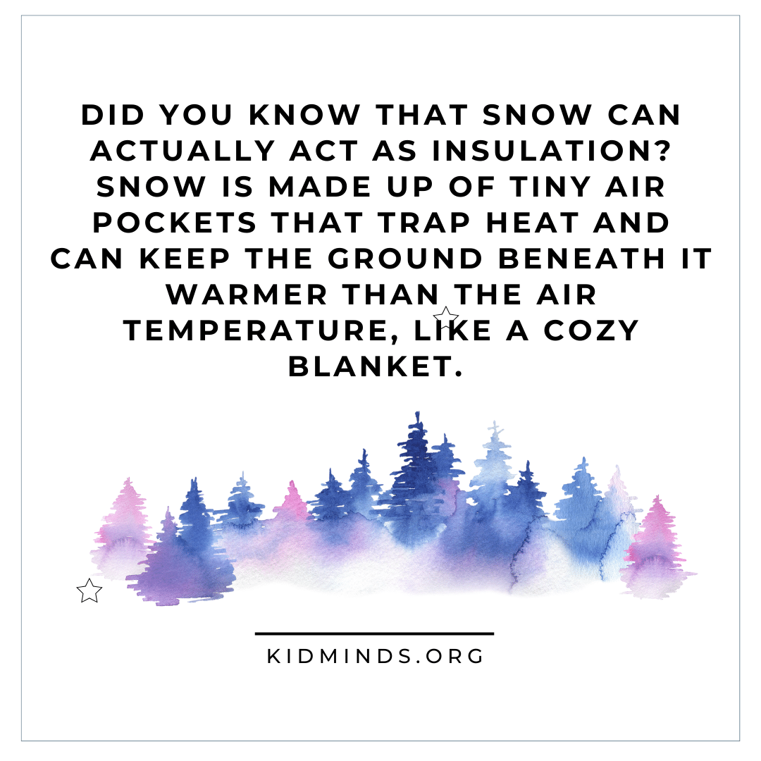 The Best Facts About Winter for Kids (Free Printable) | KidMinds