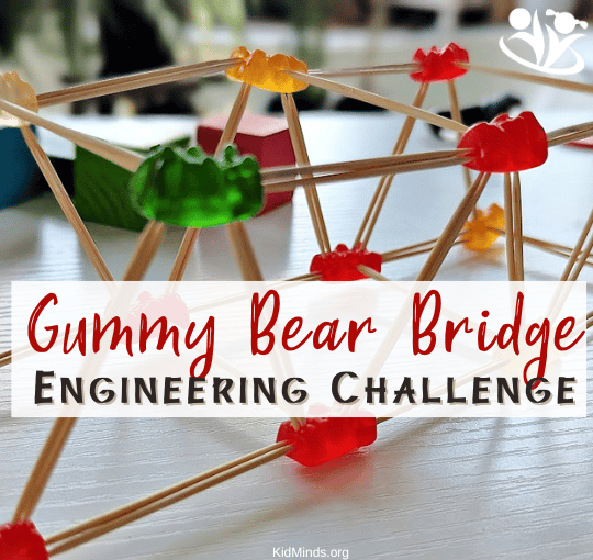 The Best Gummy Bridge Engineering Challenge | KidMinds