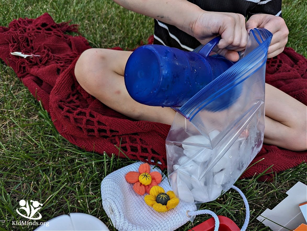 How to Make Ice Cream in a Bag (Edible Science) | KidMinds