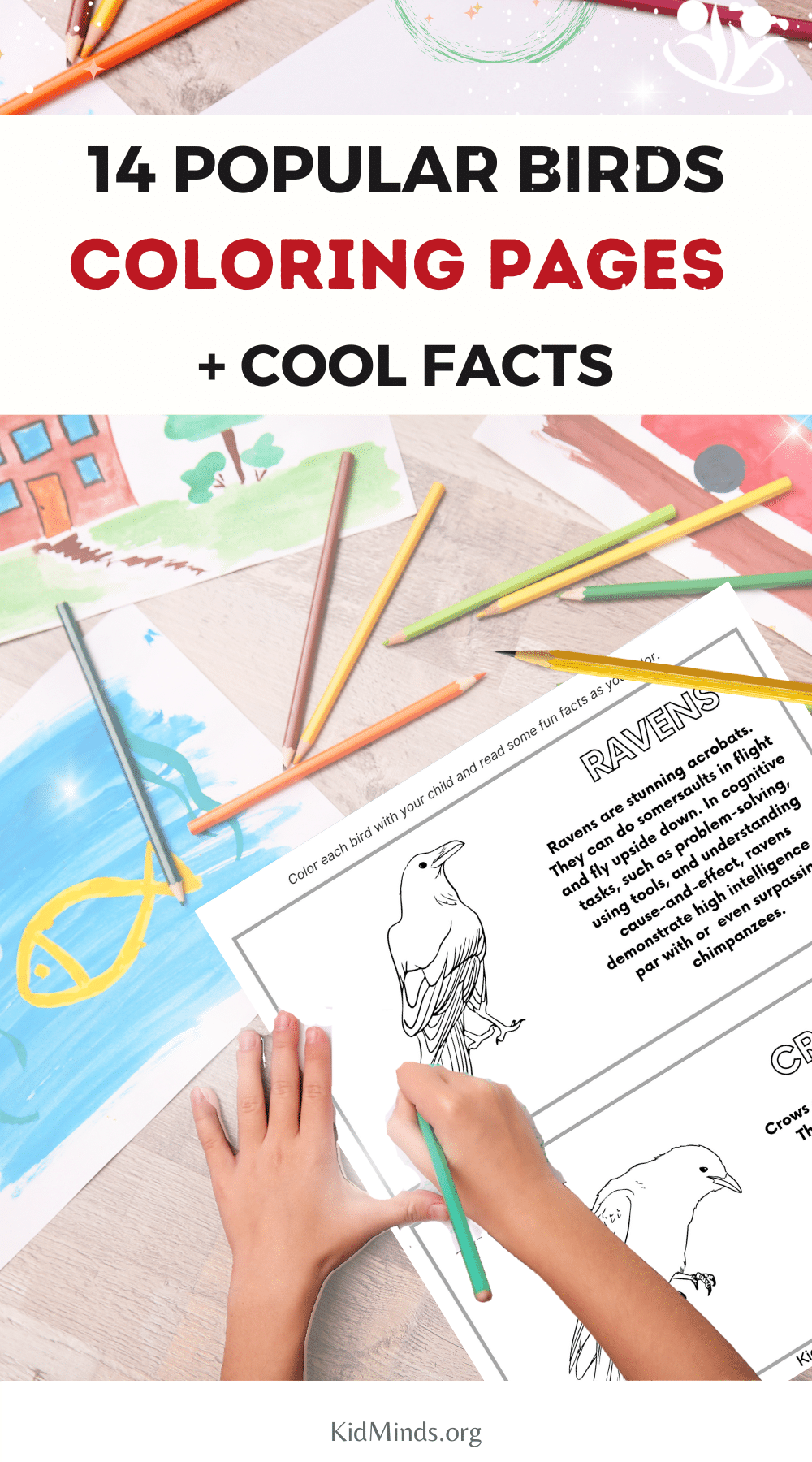 The Best Bird Facts and Coloring Pages (Free PDF) | KidMinds