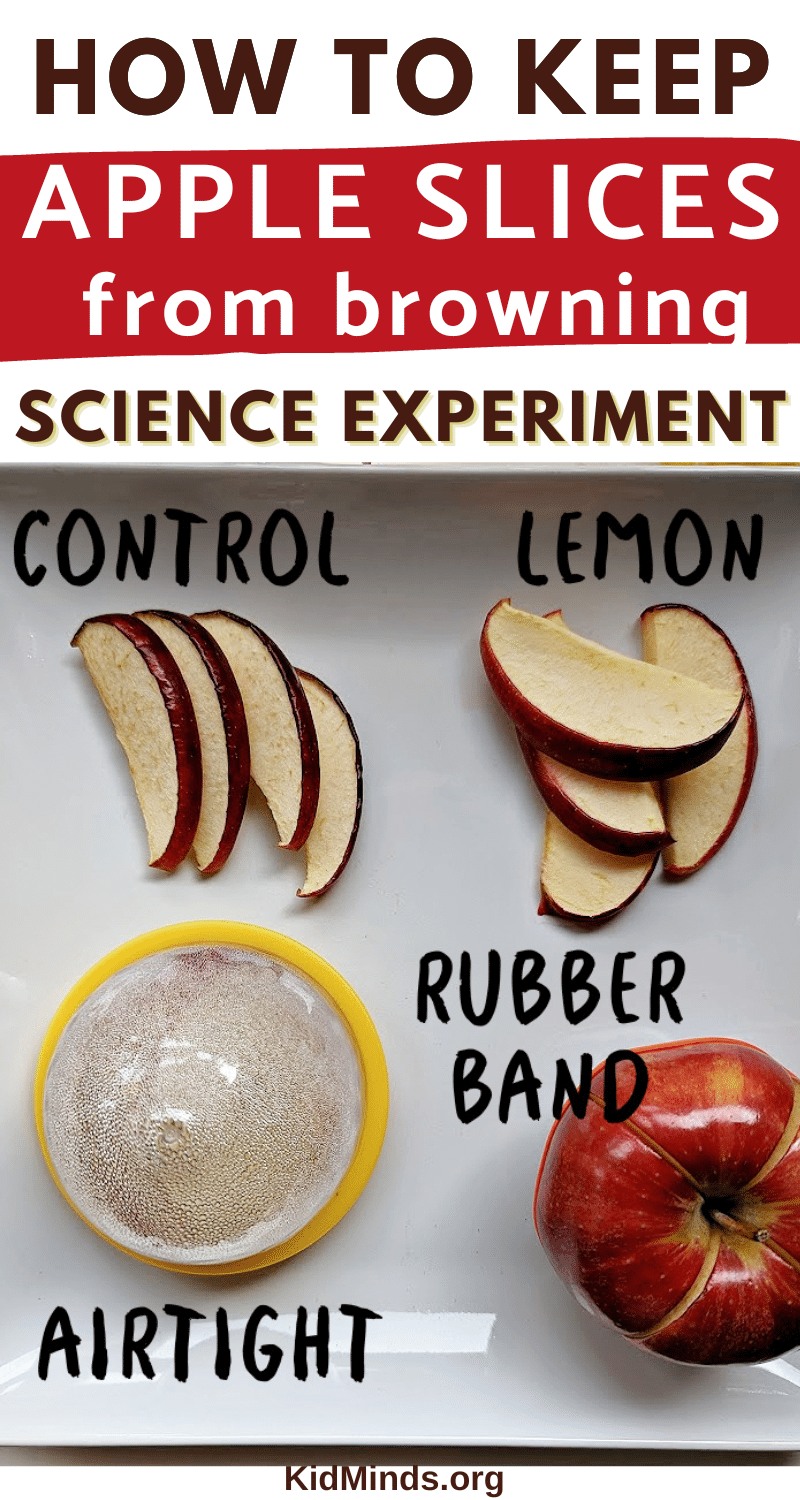 The Best and Most Amazing Apple Science | KidMinds