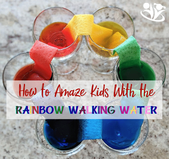 The Best Science Projects for Beginners: Free PDF | KidMinds