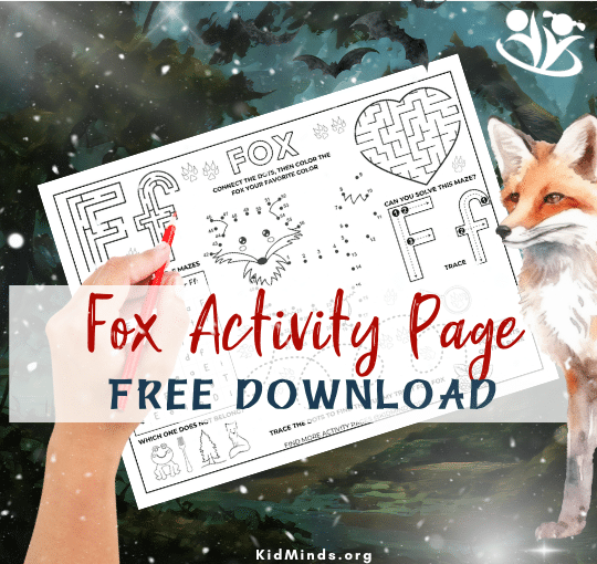 The Best Fox Activity Page for Kids (Free) | KidMinds