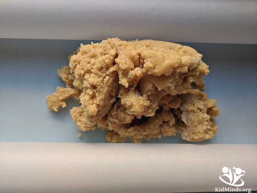 Awesome Science of Christmas Cookies (Magic Cookie Experiments) | KidMinds