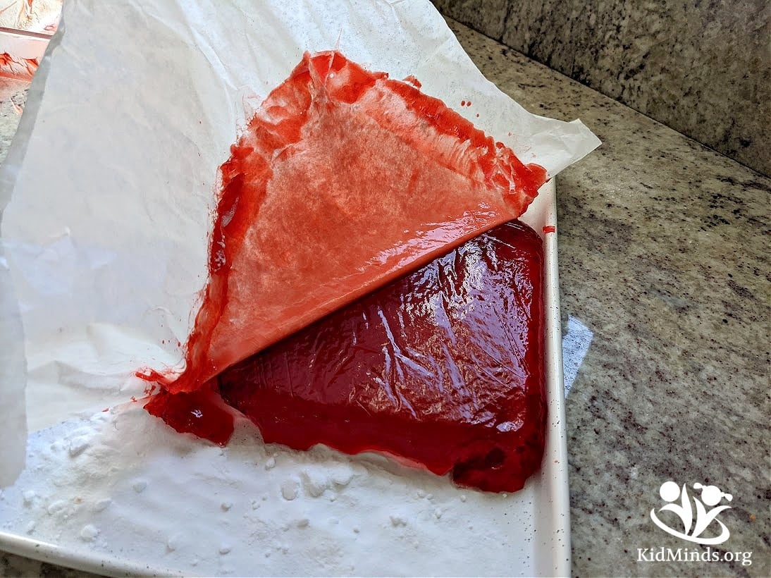 Simple Earthquake Science: Jello Plate Tectonics | KidMinds