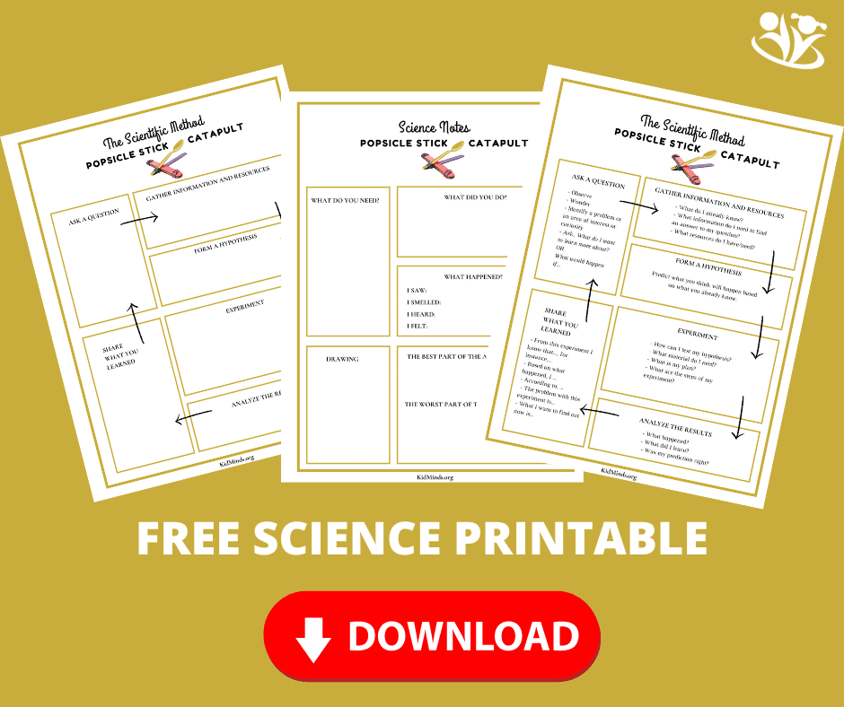 How to Make a Classic Catapult (Free PDF) | KidMinds