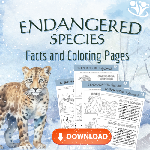 The Best Endangered Animals Facts/Coloring (Free) | KidMinds
