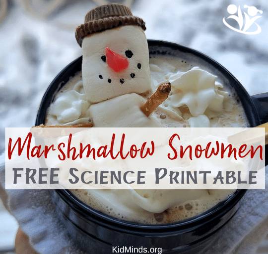 How to Make the Perfect Marshmallow Snowman | KidMinds
