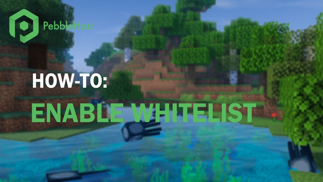 PebbleHost Knowledgebase | How to set up a whitelist on your Minecraft ...