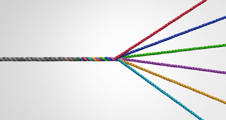 Whitbread PLC: A Case Study in Resilience Through Diversification