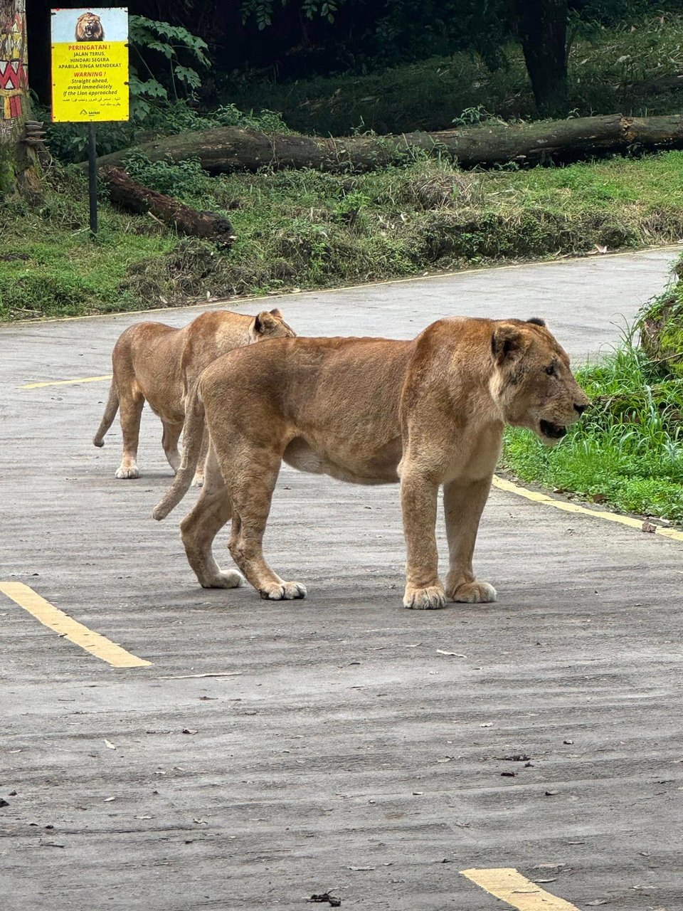 Big Guy Big World - Explore the World with Mark Jacoby