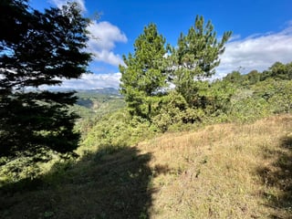 VENTA Finca Flor de Carmelo San José Pínula | San José Pinula, Guate ...